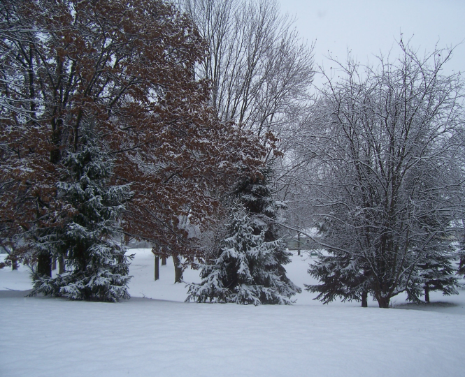 Snow | Christian Forums